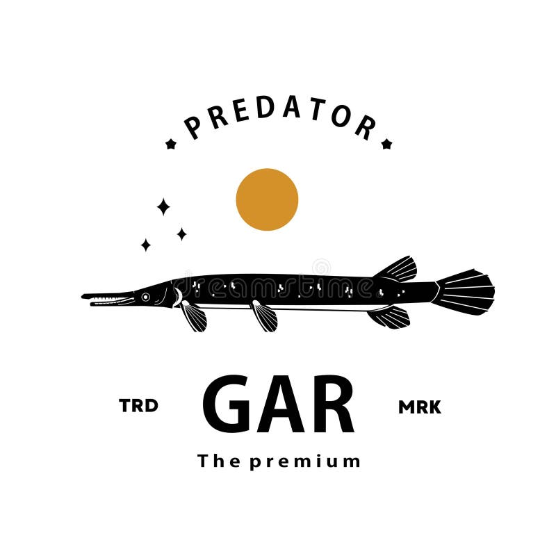 Gar Fish Stock Illustrations – 131 Gar Fish Stock Illustrations ...