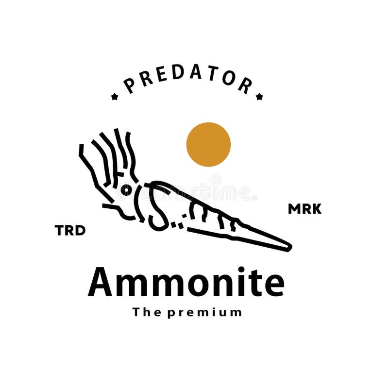 Vintage Retro Hipster Ammonite Logo Vector Outline Monoline Stock ...