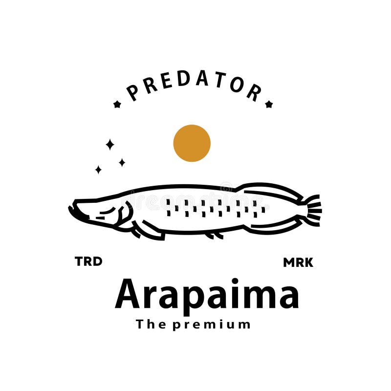 Vintage Retro Hipster Arapaima Logo Vector Outline Monoline Stock ...