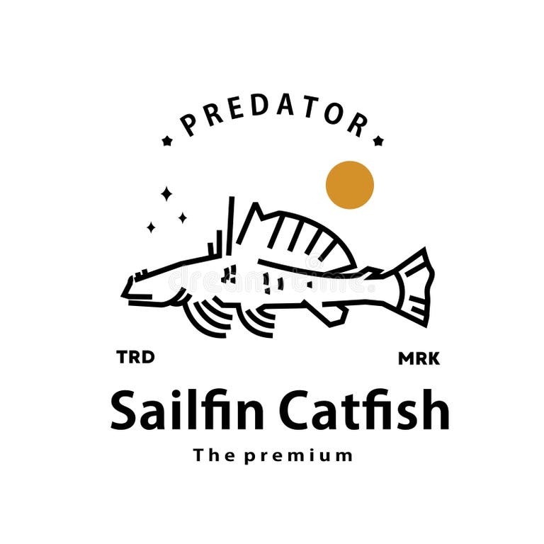Vintage Retro Hipster Sailfin Catfish Logo Vector Outline Monoline ...