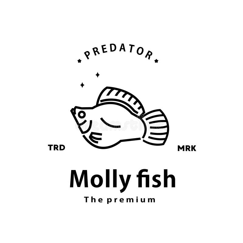 Vintage Retro Hipster Molly Fish Logo Vector Outline Monoline Art Icon ...