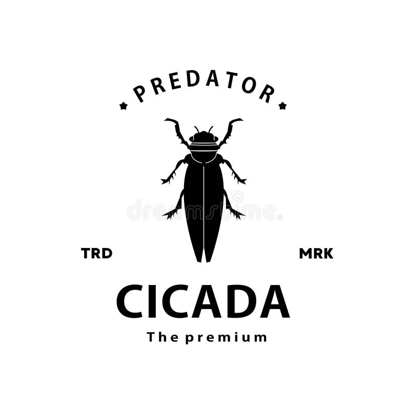 Vintage Retro Hipster Cicada Logo Vector Stock Vector - Illustration of ...