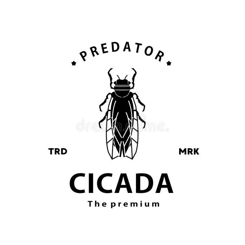 Vintage Retro Hipster Cicada Logo Vector Stock Vector - Illustration of ...