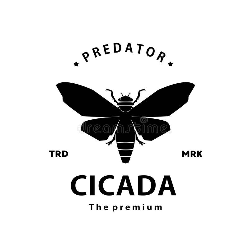 Vintage Retro Hipster Cicada Logo Vector Stock Vector - Illustration of ...