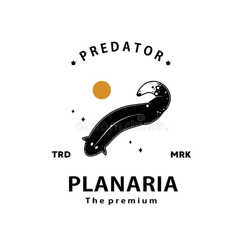 Planaria Vector Stock Illustrations – 82 Planaria Vector Stock ...