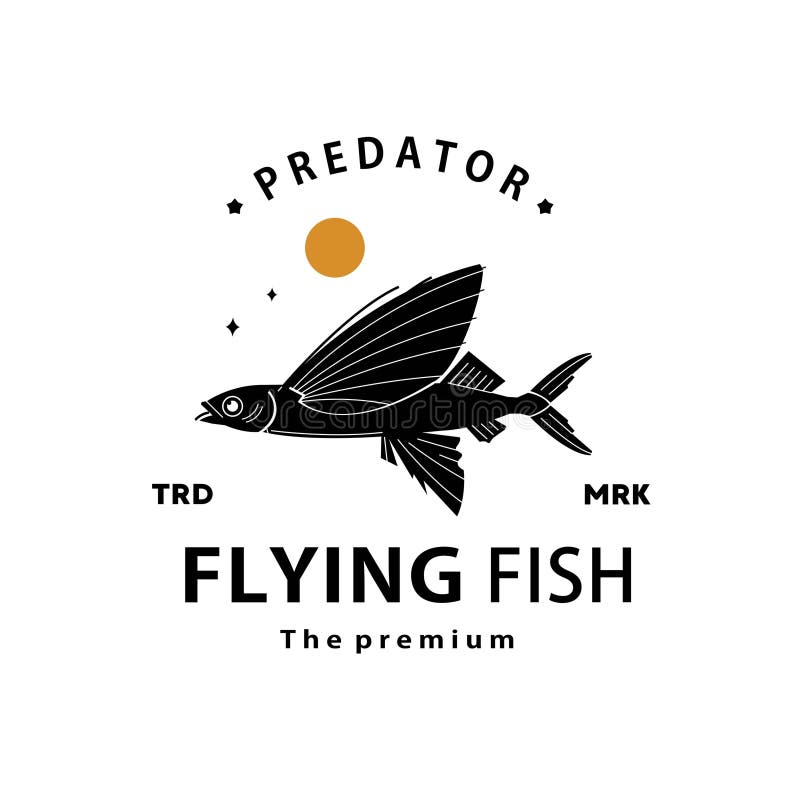 Vintage Retro Hipster Flying Fish Logo Vector Outline Stock Vector ...