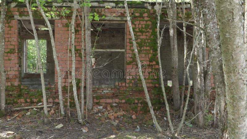 Old Abandoned Abandoned Brick Building in the Forest Stock Video ...