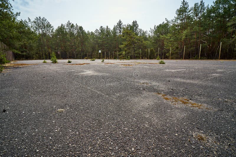 Abandoned Asphalt Cracked Road with Overgrown Plants and Grass in the ...