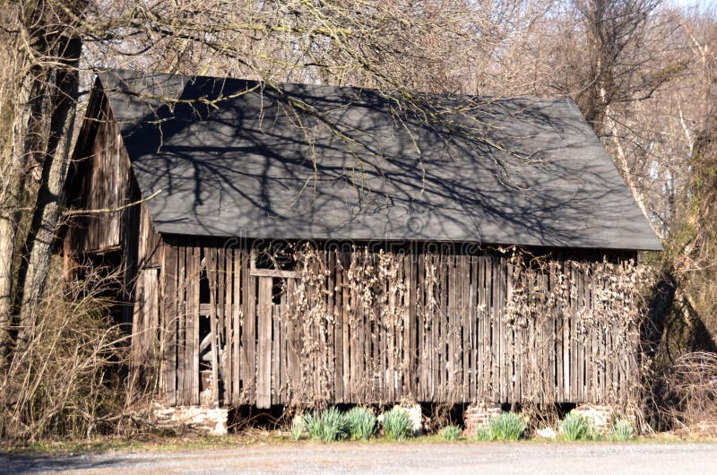 Old Barn stock photo. Image of briar, wooden, decrepit - 112936646