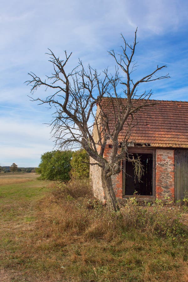 Old Abandoned Barn and Dead Tree. Abandoned Farm Buildings with ...