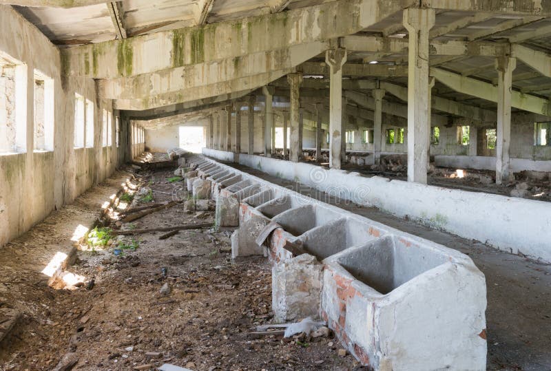 Old Abandoned Barn, Inside View of Building Stock Photo - Image of ...