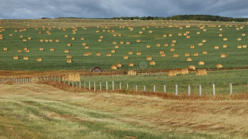Old Abandoned Barn in the Middle of Fields with Hay Bales Stock Image ...