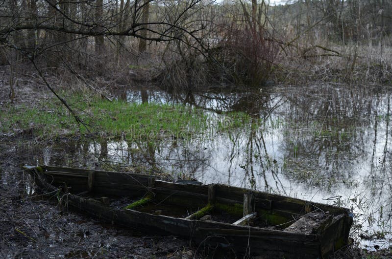 Old Abandoned Boat in the Swamp Stock Photo - Image of fishing, travel ...