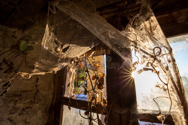 Broken Spider web stock image. Image of detail, network - 43353585