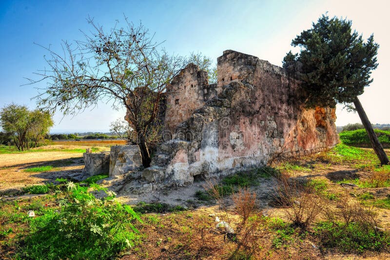 An Old and Abandoned Building with Trees and Vegetation Around in an ...