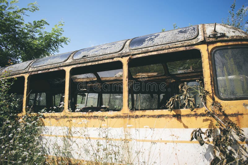 Old, Abandoned Buses in the Bushes. Broken Buses Graveyard of Old Buses ...