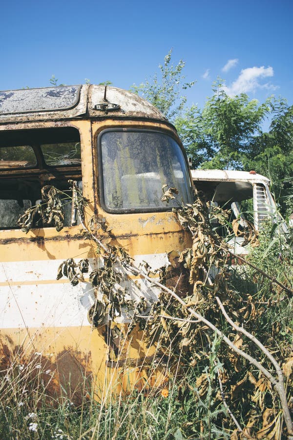 Old, Abandoned Buses in the Bushes. Broken Buses Graveyard of Old Buses ...