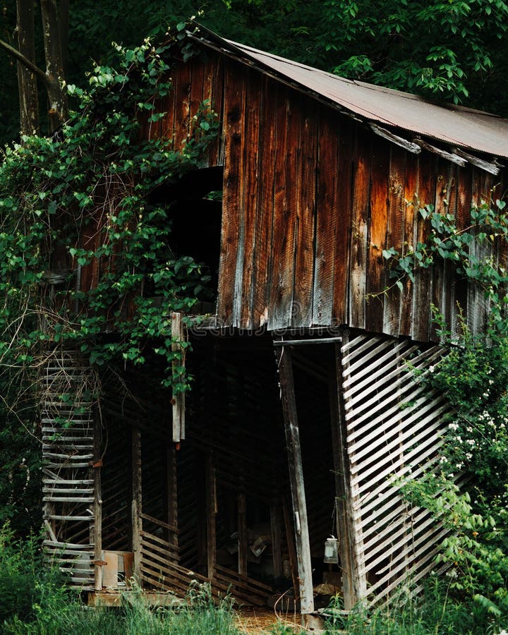 502 Cabandoned Cabin Inside Stock Photos - Free & Royalty-Free Stock ...