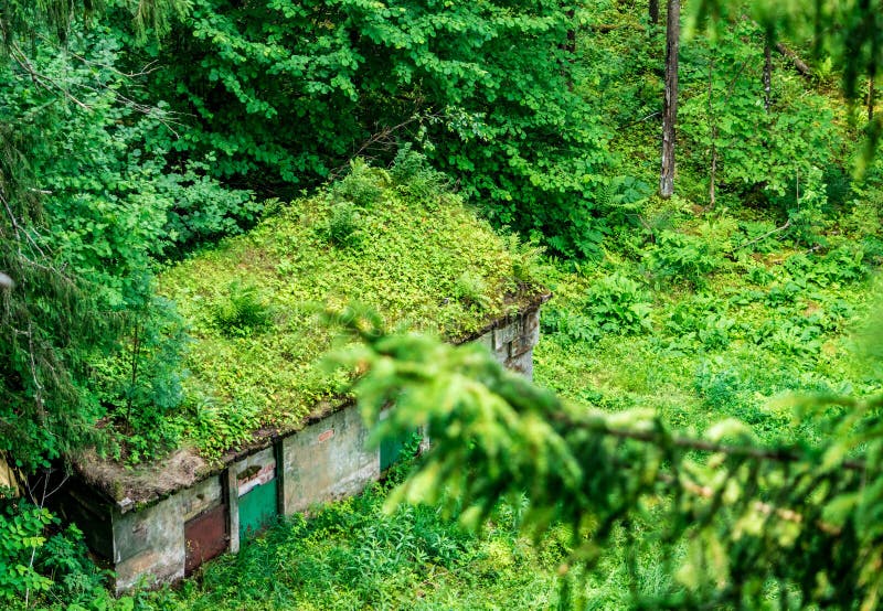Old Overgrown Cabin Woods Stock Photos - Free & Royalty-Free Stock ...