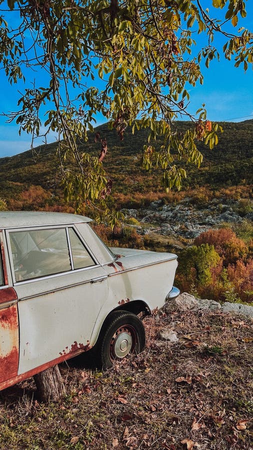 Old Abandoned Car Under the Tree Stock Image - Image of dark, vehicle ...