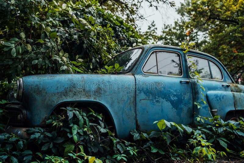 The Old Abandoned Car Was Overgrown with Vegetation Stock Image - Image ...