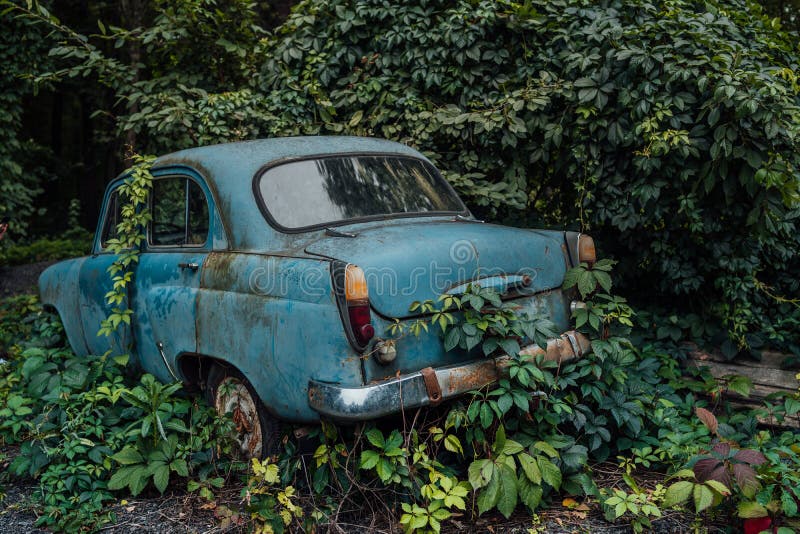 1,267 Overgrown Car Photos - Free & Royalty-Free Stock Photos from ...