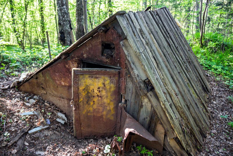Old Abandoned Cellar in a Forest Area Stock Photo - Image of door ...