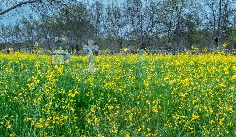 Old Abandoned Cemetery in Spring Stock Photo - Image of season, flora ...