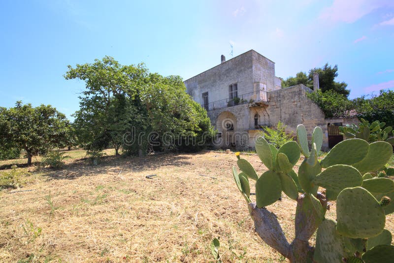 Old Abandoned Country House in the Field Stock Photo - Image of field ...