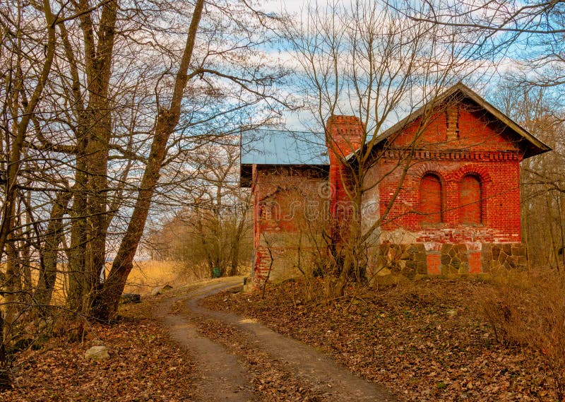 Old Abandoned and Decayed Building in the Middle of a Forest Stock ...