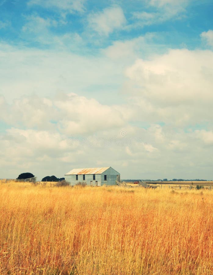 Old Abandoned Farm in Field Stock Photo - Image of home, building: 41421684