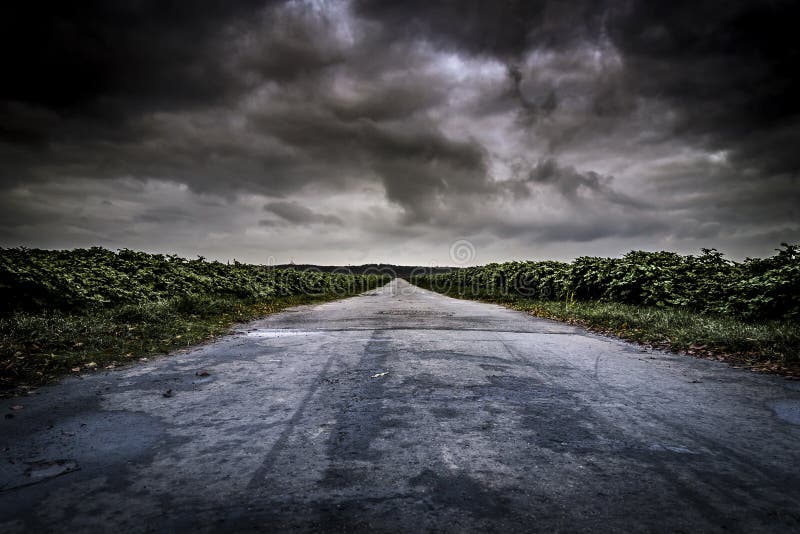 Old abandoned field path stock photo. Image of farm, clouds - 87661784
