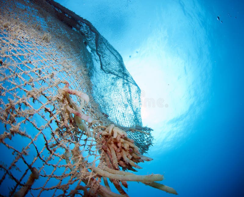 Old abandoned fishing net stock photo. Image of diving - 67766664