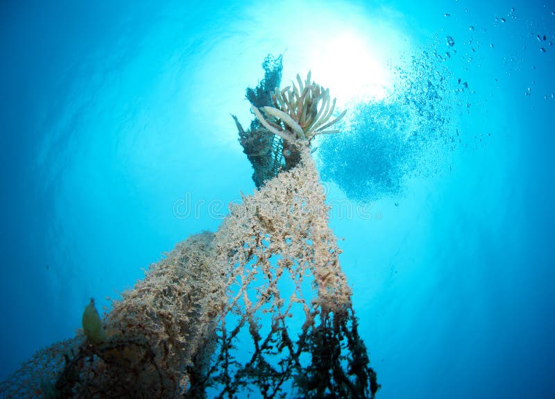Old abandoned fishing net stock image. Image of marine - 67766673