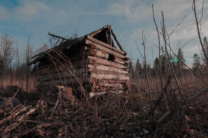 Abandoned forest hut stock photo. Image of natural, mystery - 121035952