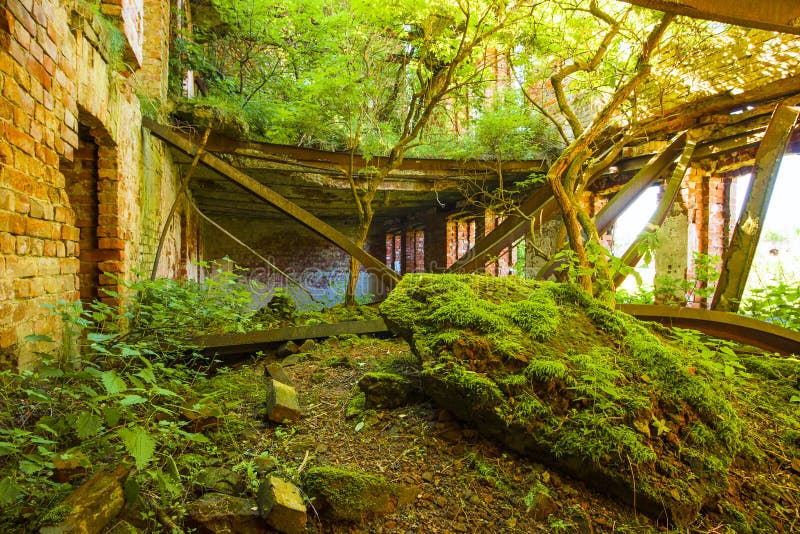 Ruined Abandoned Stone House Trees Rubble Stock Photos - Free & Royalty ...