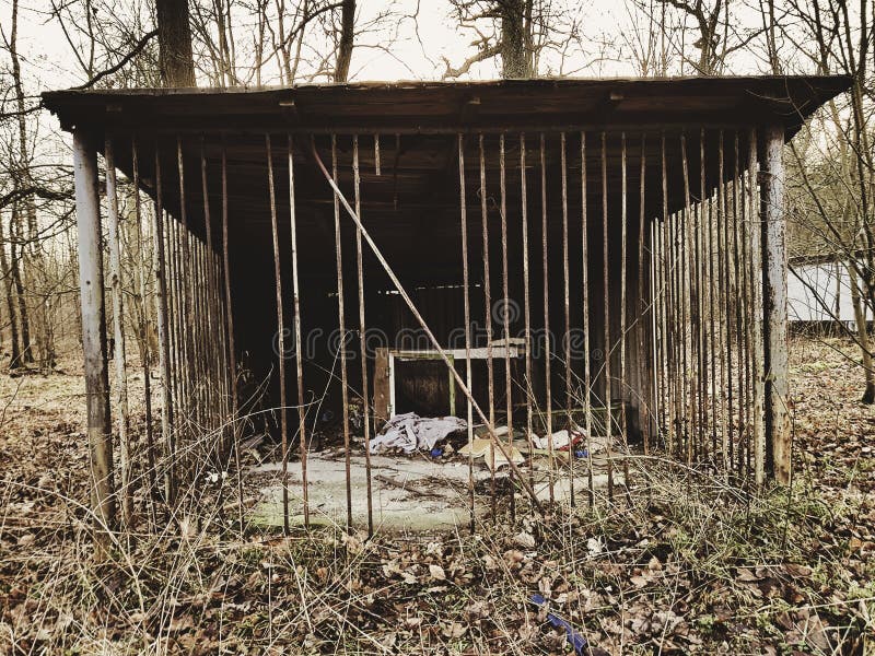 Old ruins decay and leave stock photo. Image of decay - 108604636