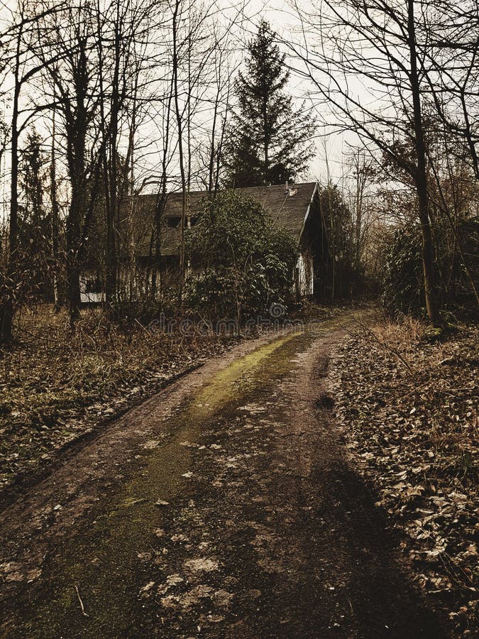 Old ruins decay and leave stock image. Image of grey - 108604781