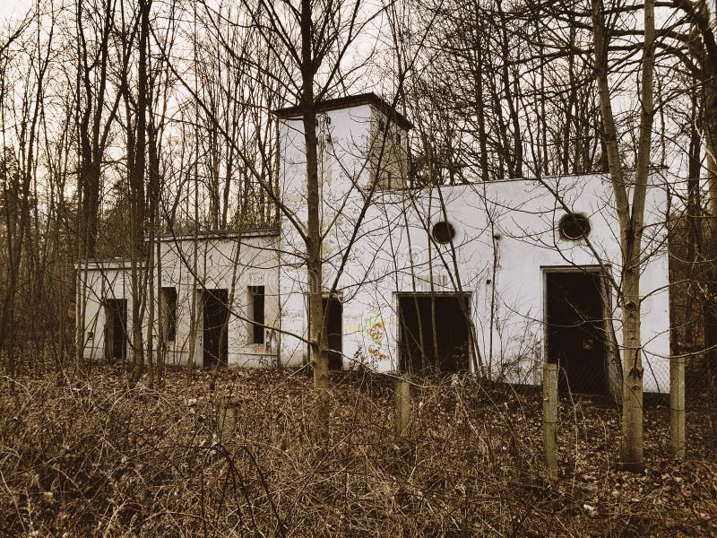 Old ruins decay and leave stock image. Image of creepy - 108591289