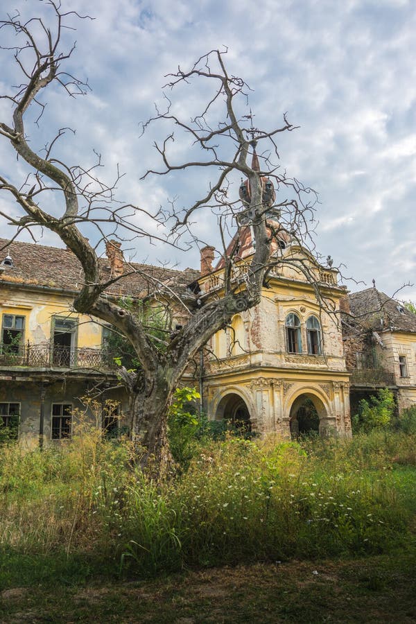 Old Abandoned Medieval Castle with Scary Tree in the Front Stock Photo ...