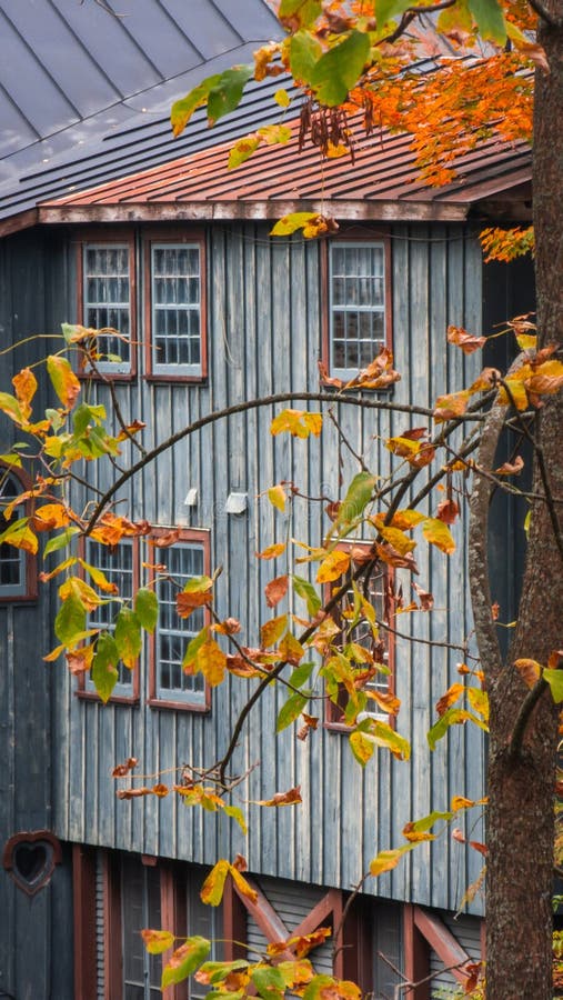 Old abandoned mill stock photo. Image of forgotten, foliage - 340318758