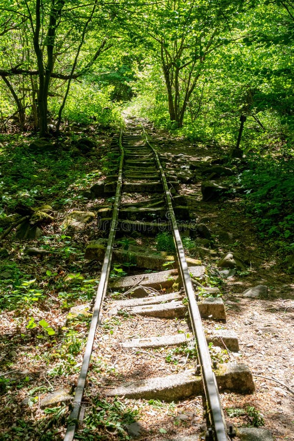 Old Abandoned Mining Train Rails in the Dark Forest Stock Photo - Image ...
