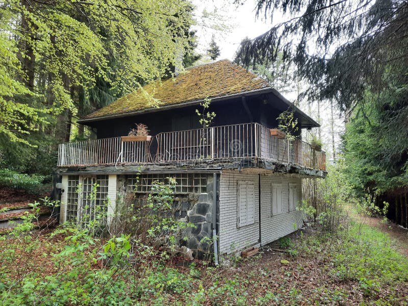 Old Abandoned Mountain Forest Cabin with a Roof Covered with Moss Stock ...
