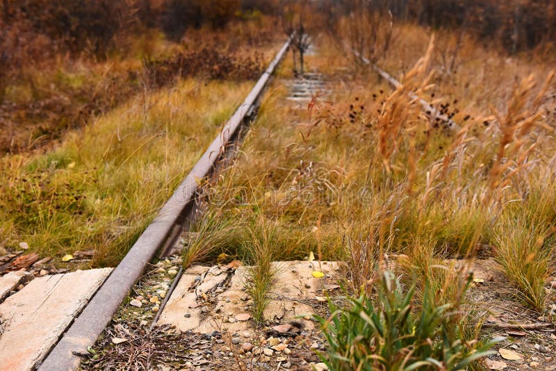 Old Abandoned Rail Tracks stock image. Image of industry - 128518993