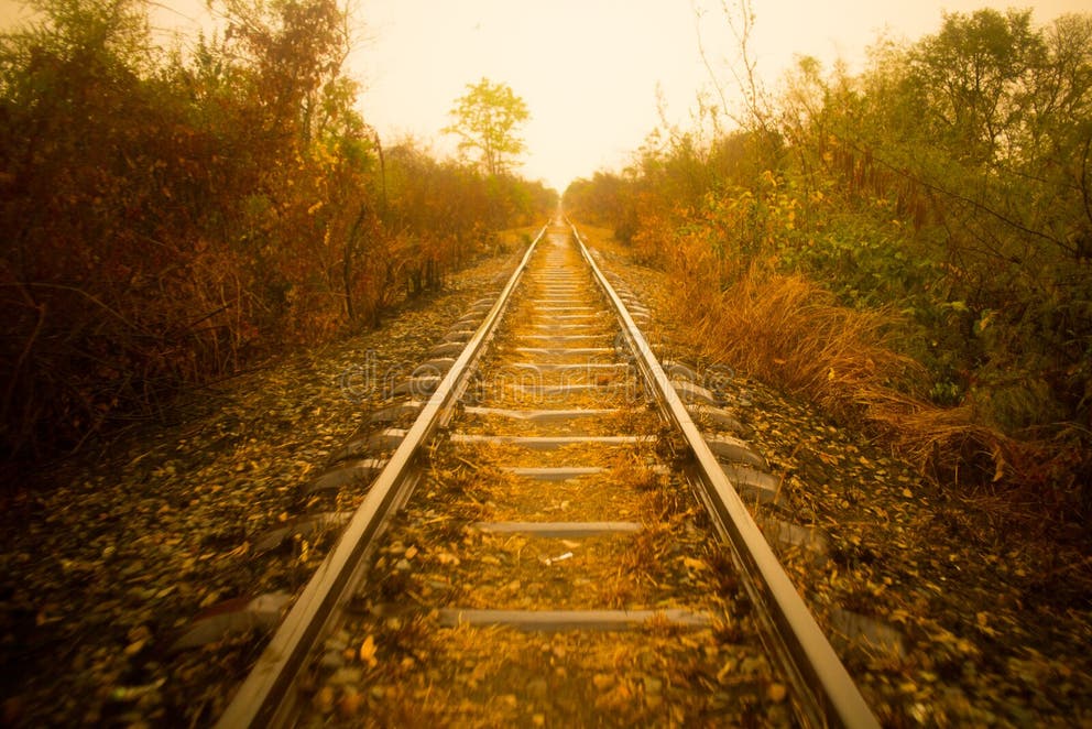 Old Abandoned Railroad Train Tracks Stock Image - Image of track ...