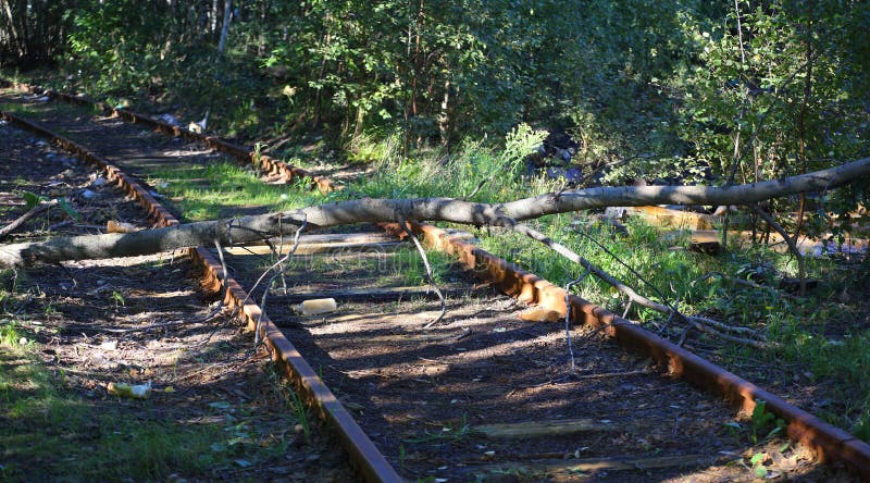 An Old Abandoned Railway Track in the Forest with a Fallen Tree Lying ...