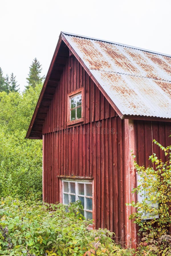 Old Abandoned Red Shed in a Forest Stock Image - Image of wood ...