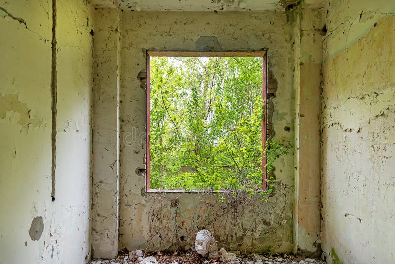 Old Abandoned Room with a View of the Forest Stock Image - Image of ...