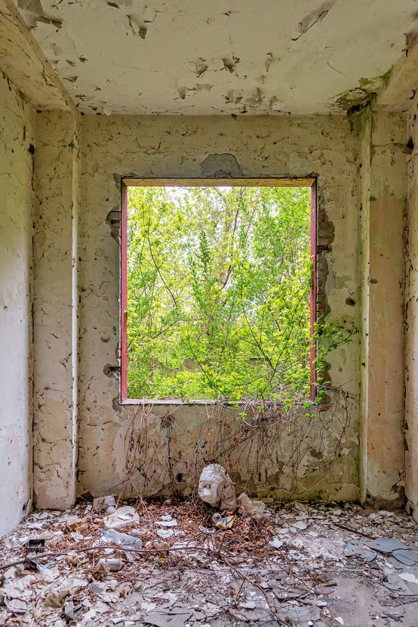 Old Abandoned Room with a View of the Forest Stock Image - Image of ...
