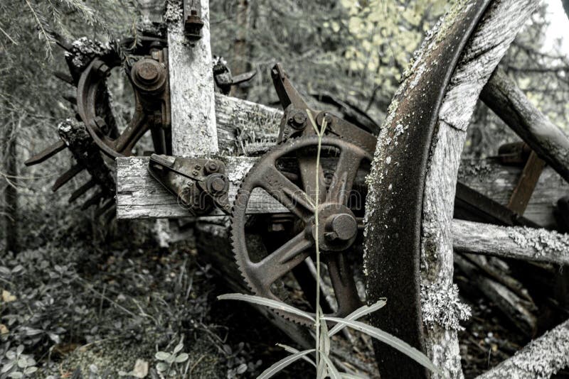 Old Abandoned Rural Machine with Wheels in the Forest Stock Image ...